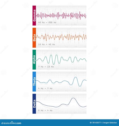 Set Of Brain Waves Oscillation Beta Alpha Theta Delta Gamma Brain
