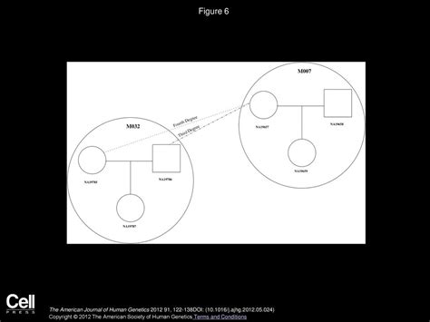 Estimating Kinship In Admixed Populations Ppt Download