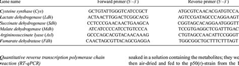 Primers Used In Quantitative Reverse Transcription Polymerase Chain