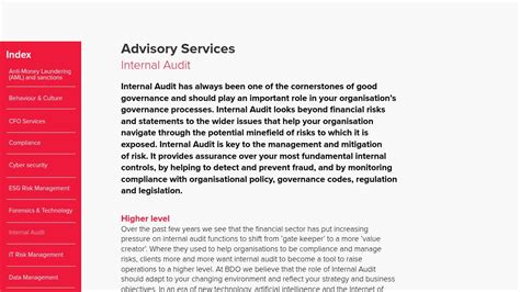 Internal Audit Playbook Financial Services