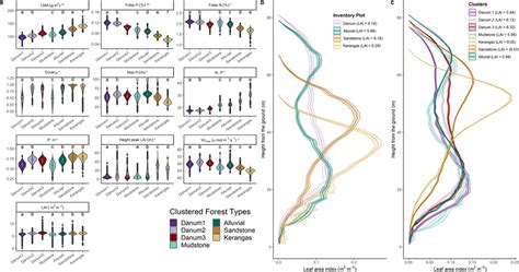 canopy trait and structural attribute distributions trait distributions