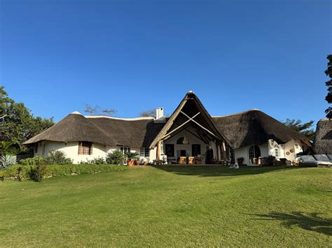 Mama Simba Situation Laba Laba