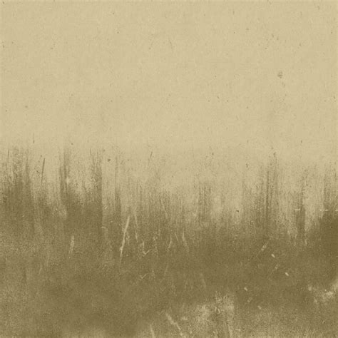 Premium Photo Cement Texture