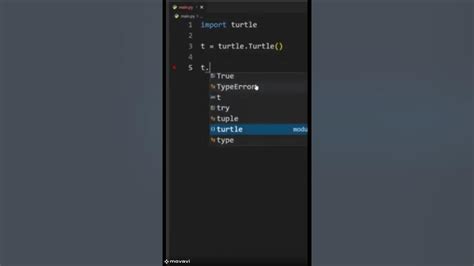 Python Turtle Basics Coding Turtle Trending Computer