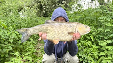 Just How Big Was This Enormous Chub Angling Times
