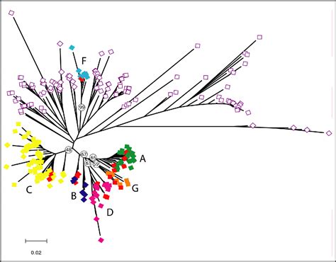Figure 11 From Evolutionary History Of Wild Goat Capra Aegagrus And