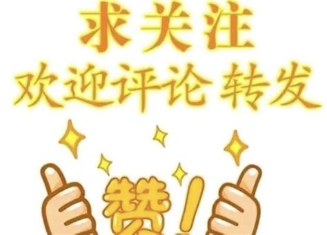 江波龙sz301308 股票 一营收江波龙：445亿，同比增2005财富号东方财富网