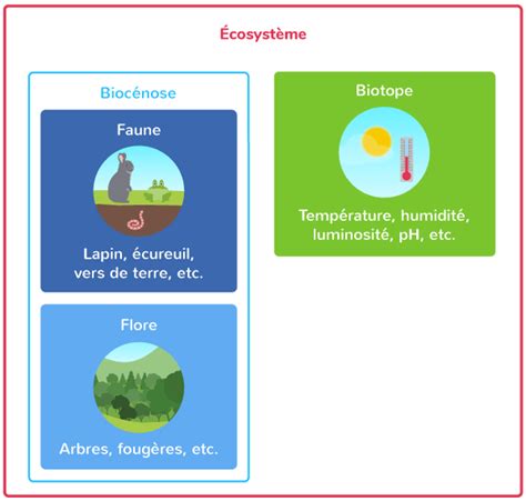 Les écosystèmes Des Interactions Dynamiques Entre Les êtres Vivants