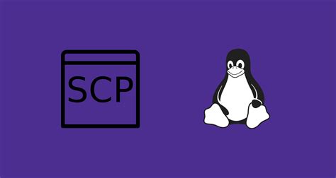 Linuxda Scp Kullanımı Linuxpedi Linux Cloud Devops