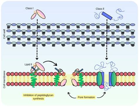 Fermentation Special Issue Fermentation 10th Anniversary