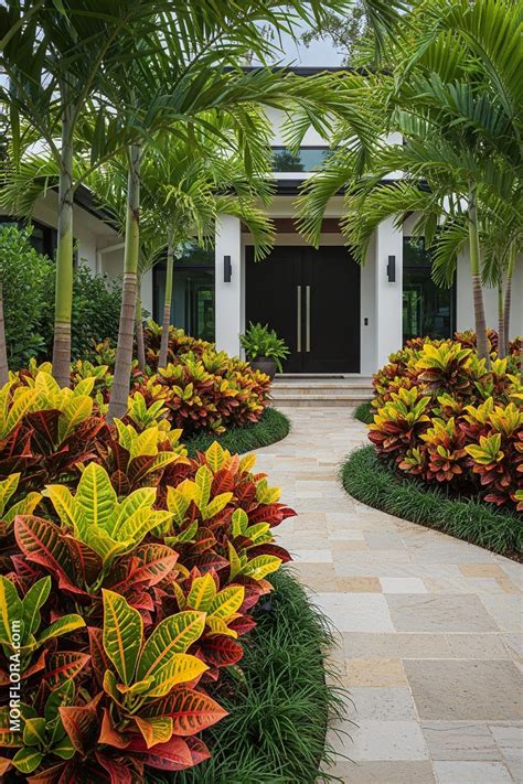 Colorful Crotons Brighten Up Tropical Front Yards Small Tropical Front Yard Tropical Front