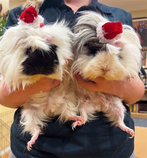 Jessica Gittos On Linkedin Torquejobs Loveyourwork