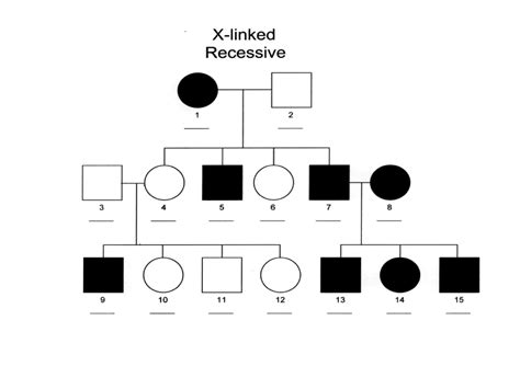 Pedigree Analysispdf
