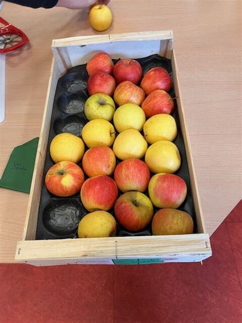 [partenaire Fruits Et Légumes Locaux] Benjamin Rouillon