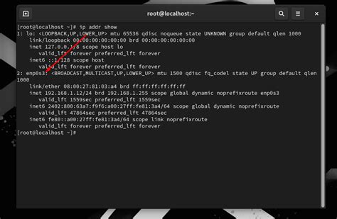 How To Manage Network Interfaces On Rocky Linux 9 Devtutorial