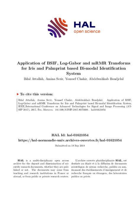 Pdf Application Of Bsif Log Gabor And Mrmr Transforms For Iris And Palmprint Based Bi Modal