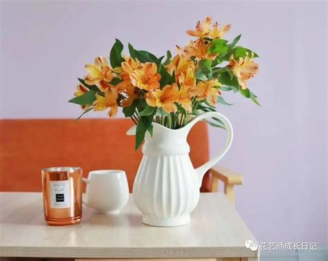 每日一花 水仙？百合？杜鹃？你到底是哪种花？ 知乎