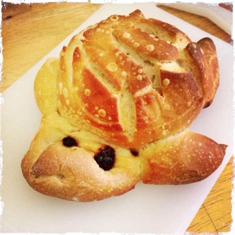 Turtle Sourdough Bread Boudin Sf Stockton
