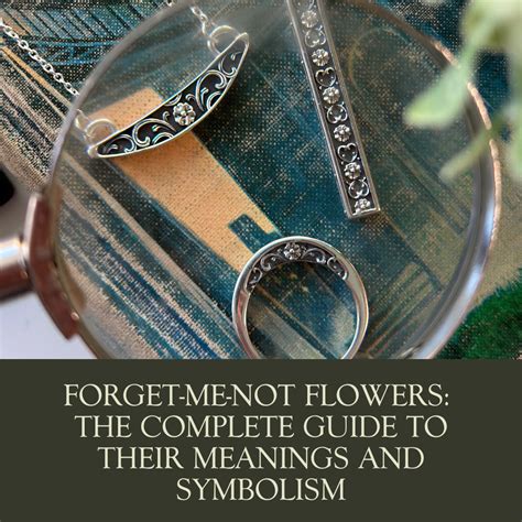 Forget Me Not Flowers The Complete Guide To Their Meanings And Symbol