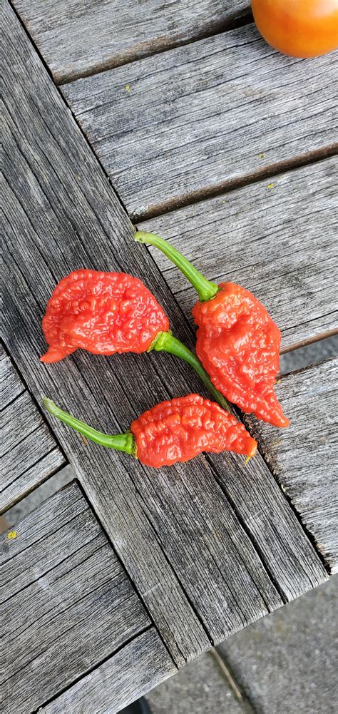 Is It True That The Inverted Filter Is How We Appear To Others R Howtobehot