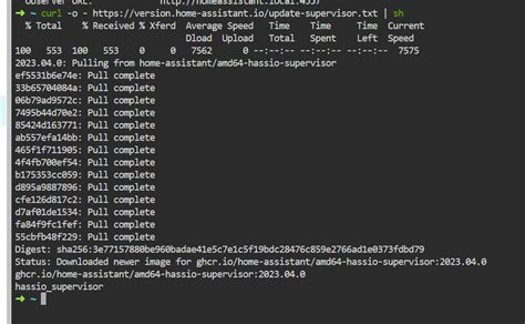 supervisor november beta issue impacting users on home assistant beta