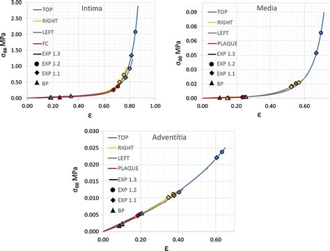 Circumferential Stresses Versus Strains Exerted By Stent C For Intima