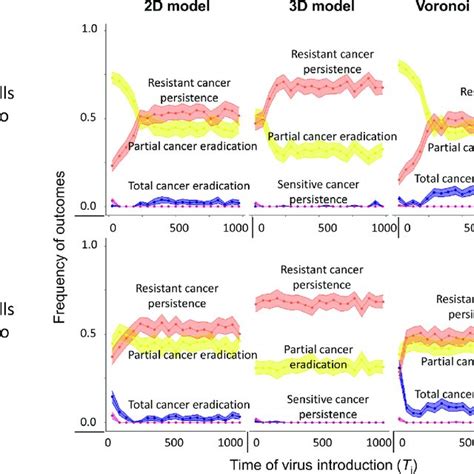 Visualization Of The Cell Based Model Variants Spatial Organization Of