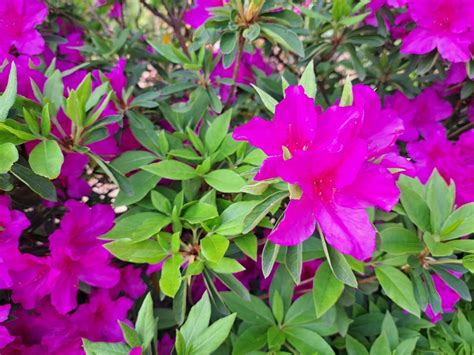 Ooo 福森愛羅ブログ