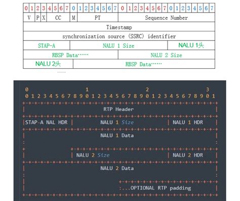 h264码流分析和打包rtp过程 rtp打包 csdn博客