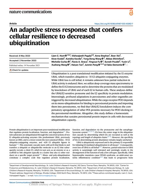 Pdf An Adaptive Stress Response That Confers Cellular Resilience To Decreased Ubiquitination