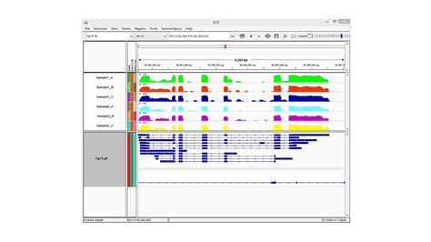 Rna Seq Results Explained What Can You Expect From The Analysis Novogene