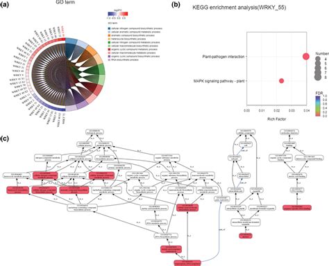 Go And Kegg Enrichment Analysis A Go Enrichment Chord Diagram The Download Scientific