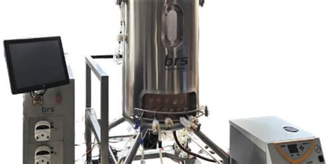 Production Of Biopharmaceuticals Upstream And Downstream Processing