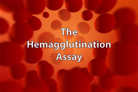 The Hemagglutination Assay Virology Research Services