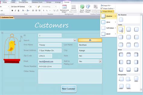Access 2010 Formatting Forms