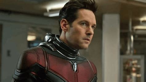 Paul Rudd Ant Man Fan Art