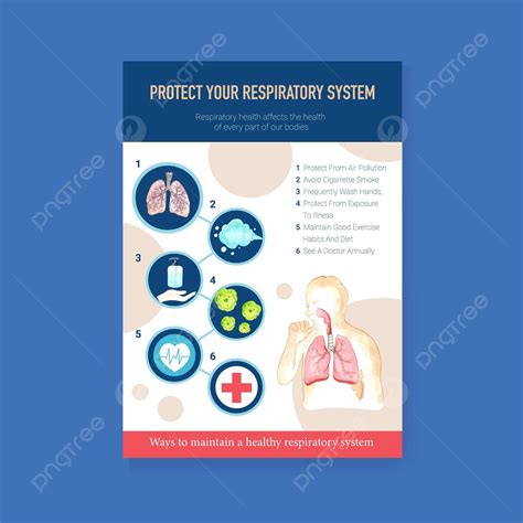 Compreendendo O Sistema Respiratório Crucial Um Guia Para Anatomia E Função Vetor Png Dados
