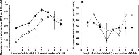 Surface Assembly Of Gfp With Or Without N Terminal α Factor On The Download Scientific Diagram