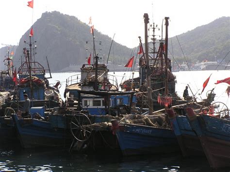 Далянь/Dalian/?? - 10 фото. Фотографии Катерина Лукашова.