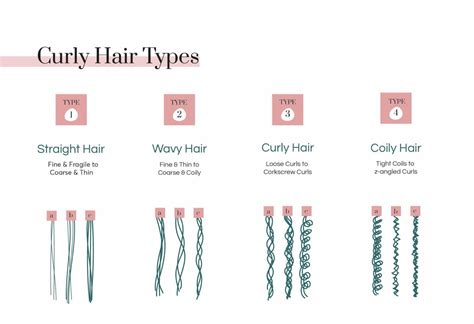 ᐅ Curly Hair Types Explained A Comprehensive Guide