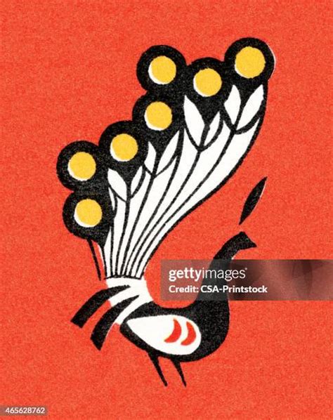 80 Peacock Colour Background High Res Illustrations Getty Images