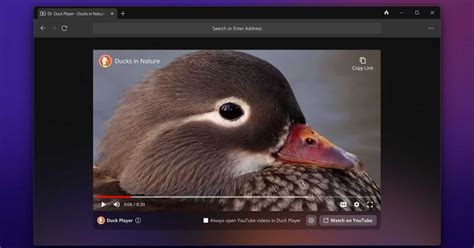 Secure Browsing Redefined With DuckDuckGo Browser For Windows