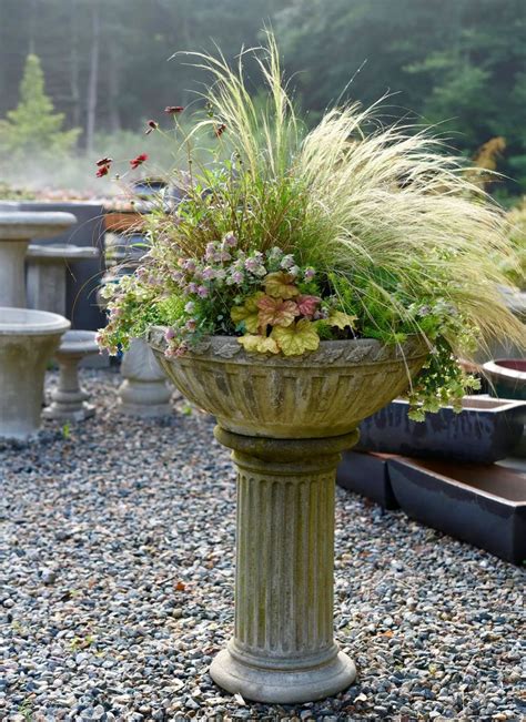 Container Gardening Tips And Ideas Planted Containers Planting Urns