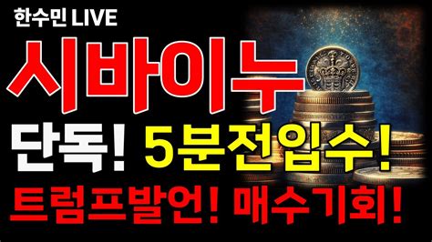 시바이누 코인전망 단독 5분전입수 트럼프발언 최저점 매수기회 Youtube