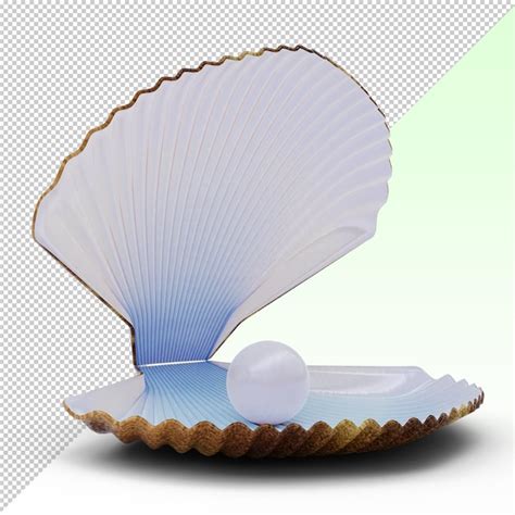 Premium Psd Sea Shell With Pearl