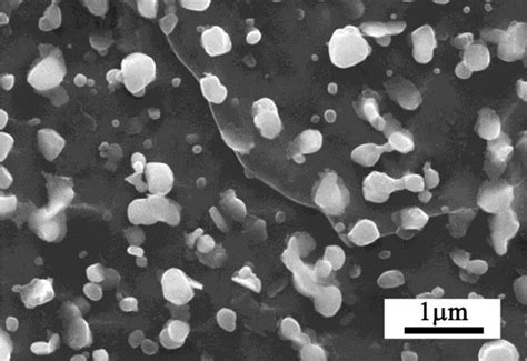 Initial Microstructure Of The Received Spheroidise Annealed Bar Download Scientific Diagram