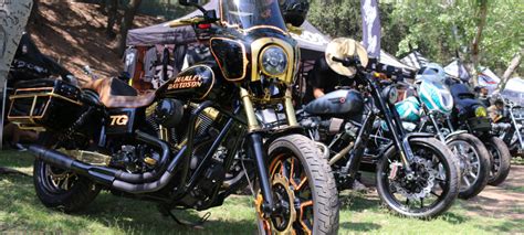 Club Style Dyna Wheelie