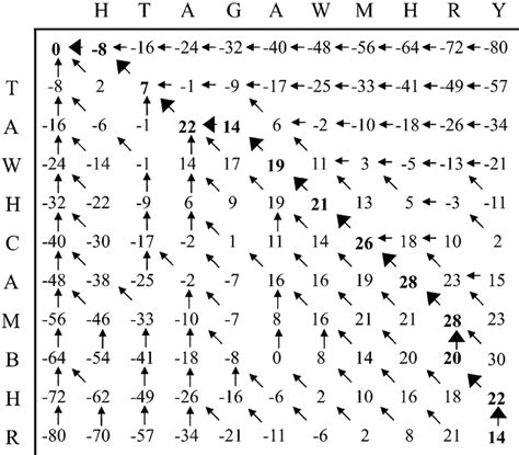 the global dynamic programming matrix for hypercomplex number