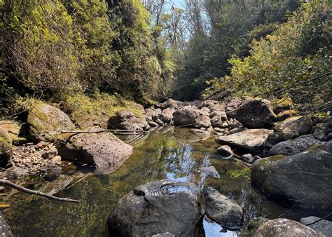 32 520 Piha Kahuku Rd Ninole Hi Is For Sale Mls 720054