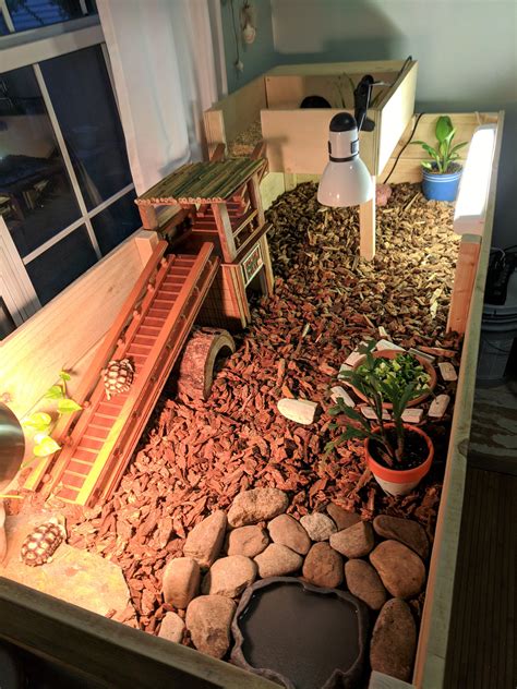 Tortoise House
